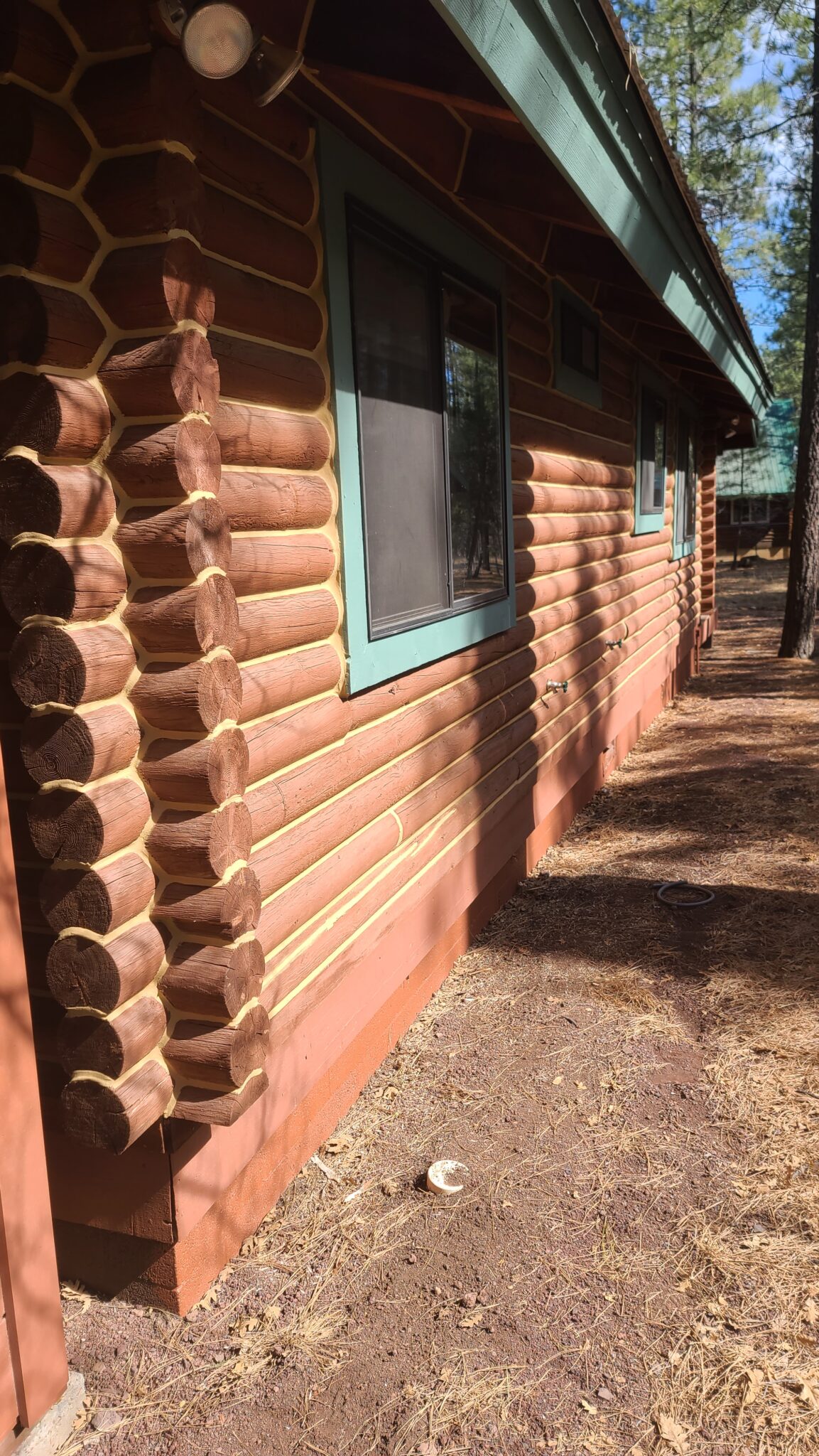 Chinking Project Gallery | Navajo Sandblasting & Painting